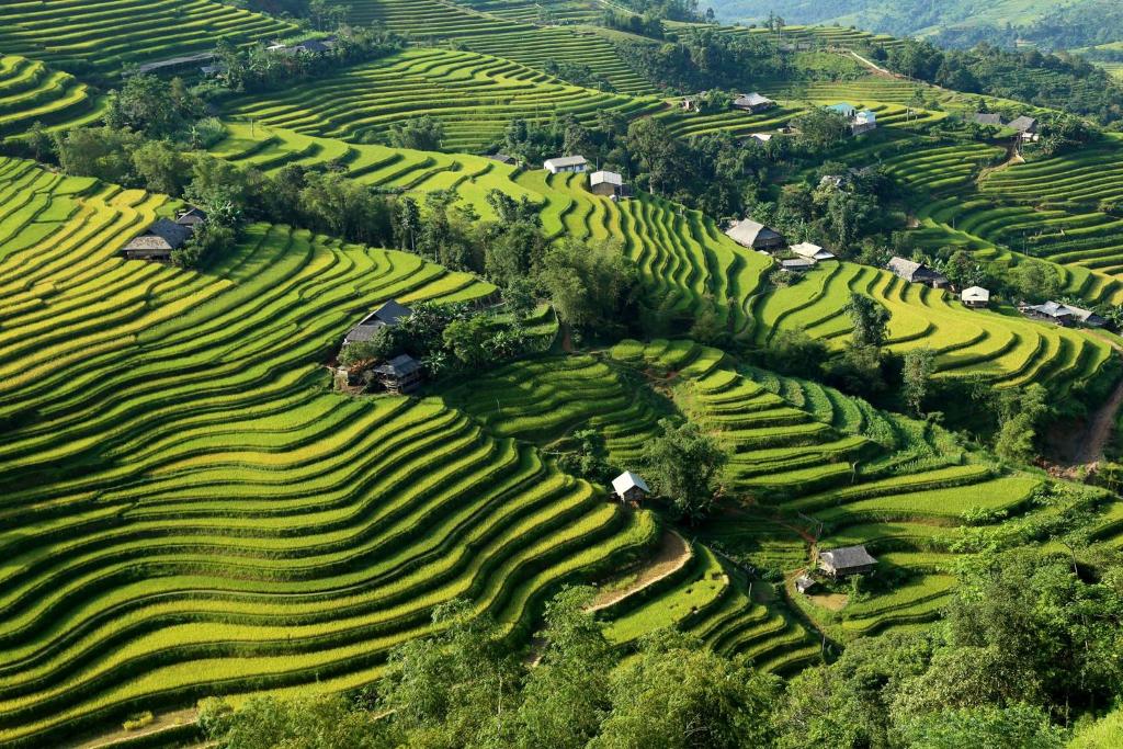 "Pan Hou Retreat: Chốn Bình Yên Giữa Những Cánh Đồng Ruộng Bậc Thang"